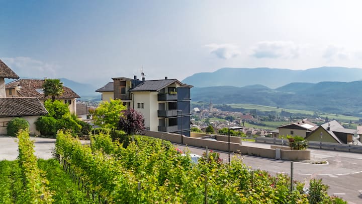 705a Apartment Mendelbahn 1 - Bolzano