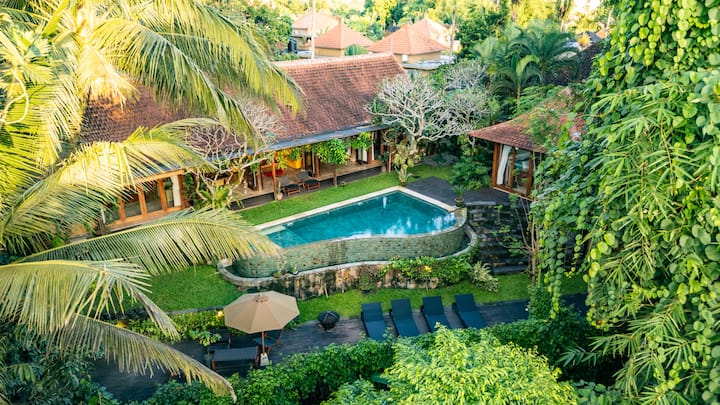 Orivista Rare Villa W/infinity Pool -Jungle Views - Ubud