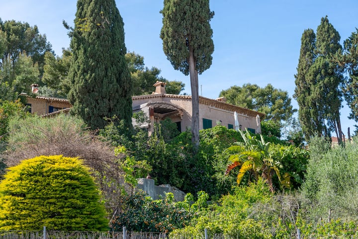 C. Bona Vista By Bebreeze - Pollensa