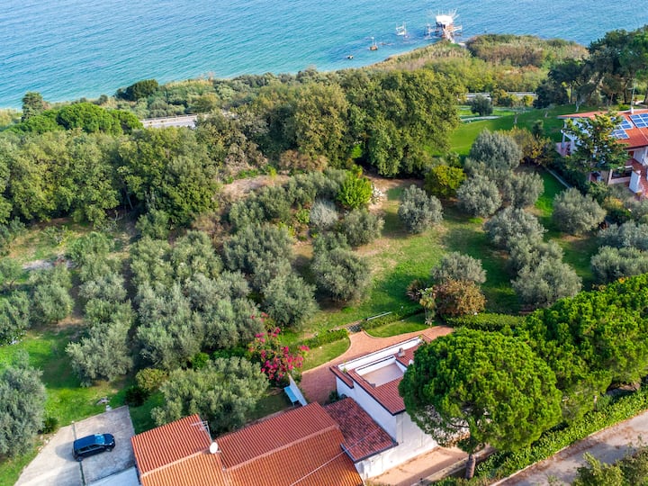 Approdo - Ortona