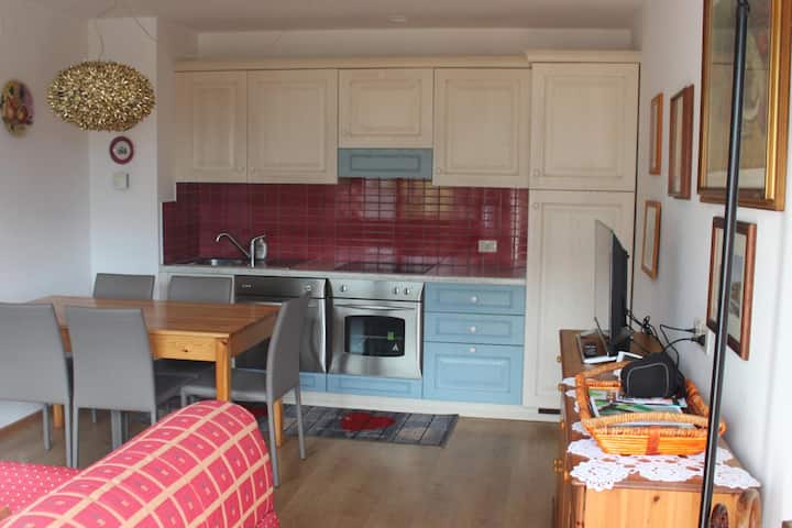 Suite Marco Nice Apartment In Cavalese With View - Cavalese