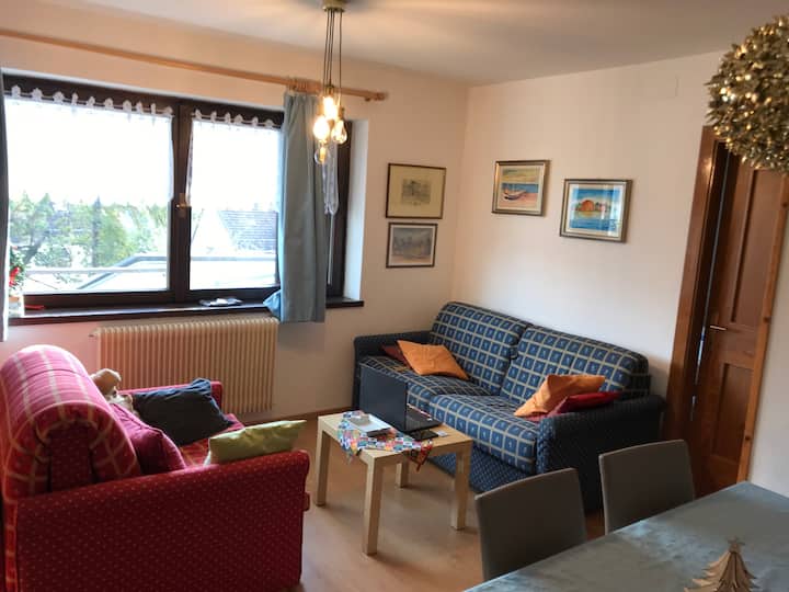 Suite Marco Nice Apartment In Cavalese With View - Cavalese