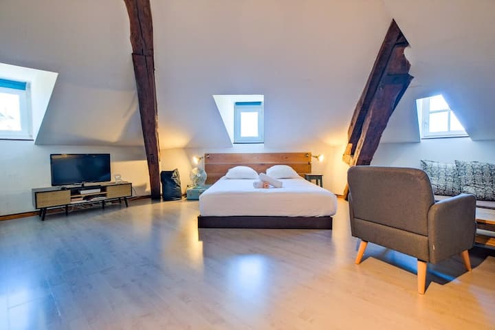 Nid D'hirondelle - Boulazac