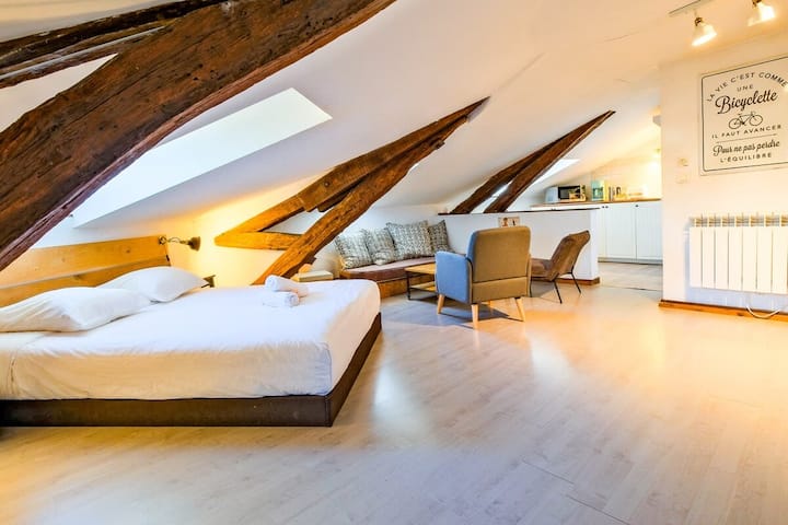 Nid D'hirondelle - Mimos