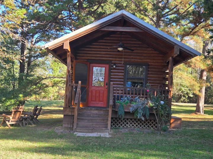 Lakeview Cabin Littlest Longhorn - Daingerfield State Park, Daingerfield