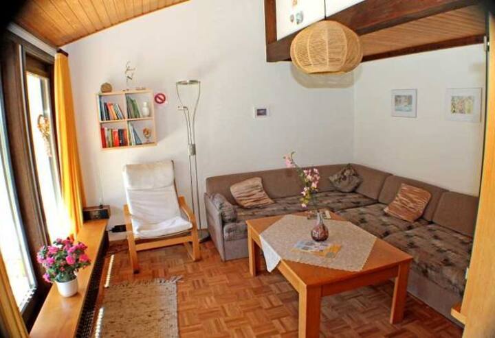 Ofi-132a - Ferienhaus Mit Schlafzimmer Und - Bad Dürrheim