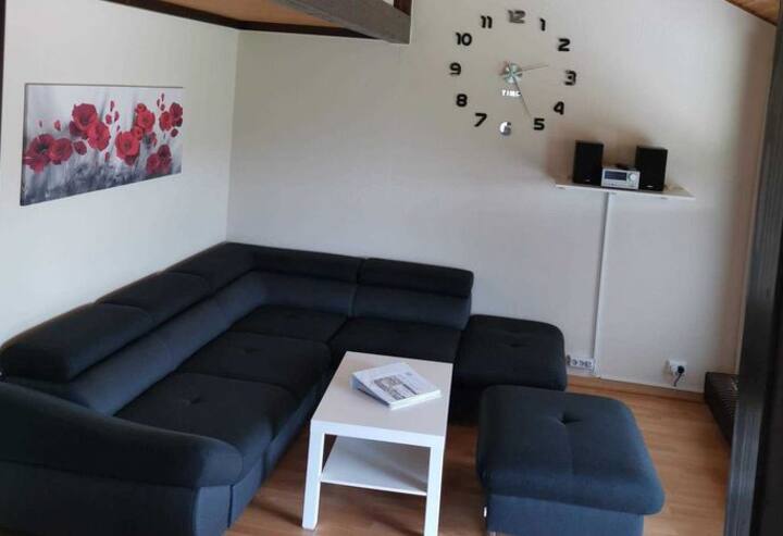 Ofi-72 - Ferienhaus Mit Garten Für Familien - Villingen-Schwenningen