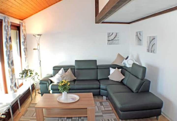 Ofi-89 - Ferienhaus Mit 2 Sz Und Infrarotkabine - Villingen-Schwenningen