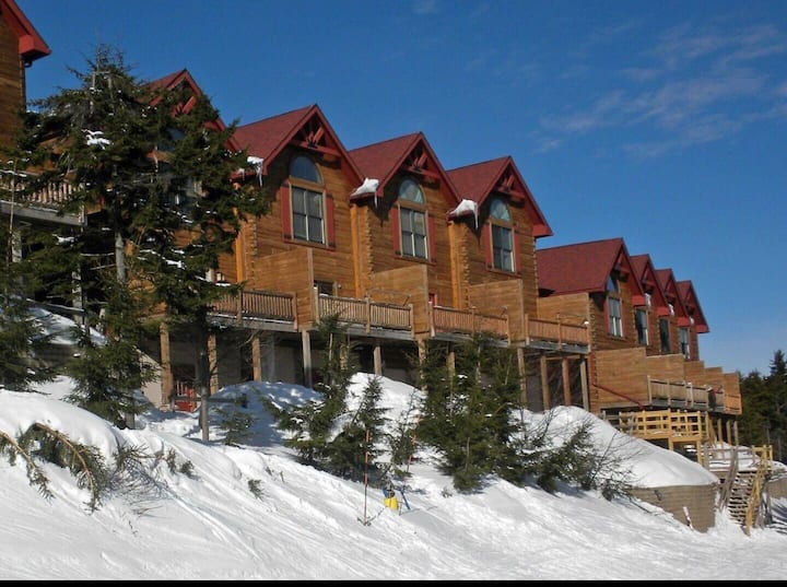 Flumefloiando - Ski-in & Ski-out Chalet! - Snowshoe, WV