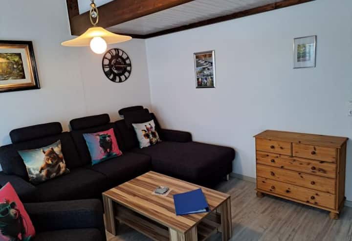 Ofi-65 - Modernes Ferienhaus Mit Guter Ausstattung - Donaueschingen