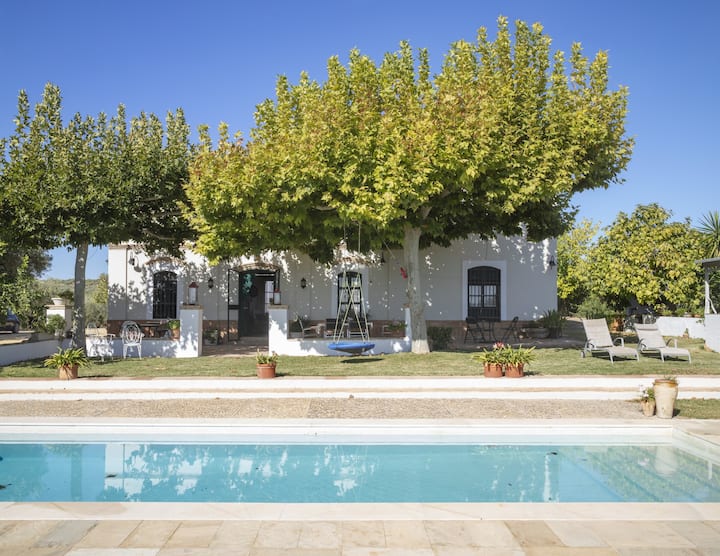 Finca El Olivo Llorón - Montilla