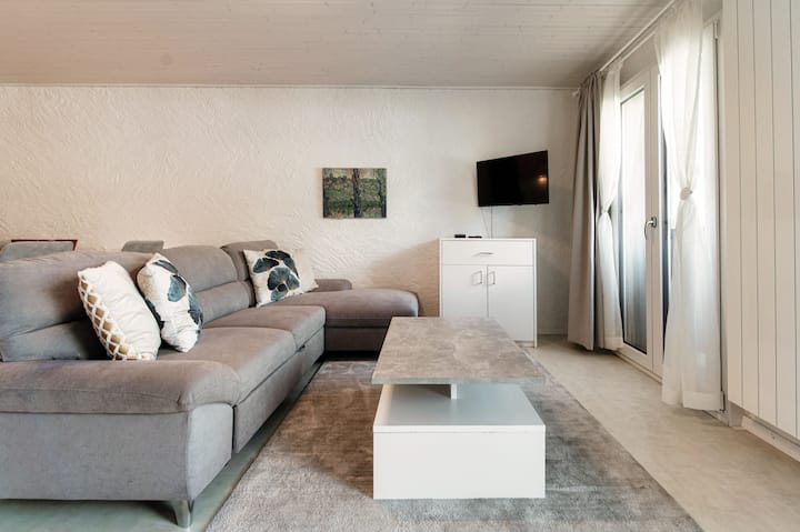 Détente Dans Les Vignobles (Casa Tra Le Vigne) - Bellinzona