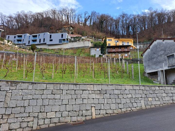 Détente Dans Les Vignobles (Casa Tra Le Vigne) - Bellinzona