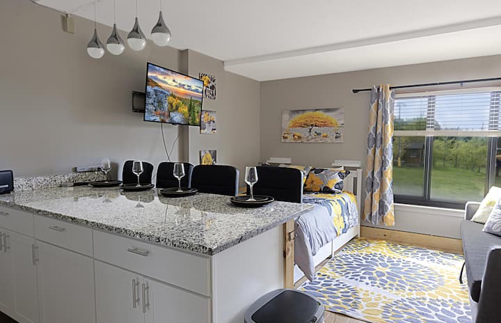 Sc 2204: Luxe Studio Retreat Perfect For Summer! - Cass Scenic Railroad State Park, Cass