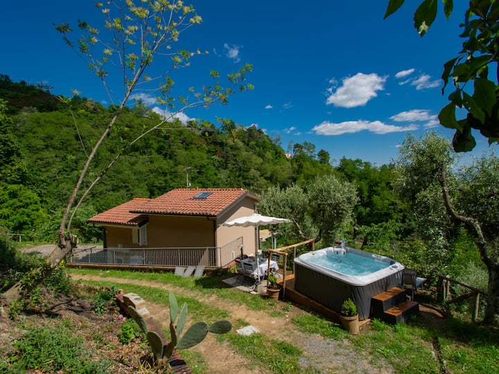 Il Paradiso By Interhome - Montecarlo