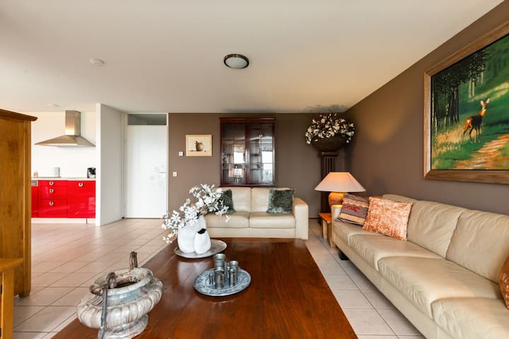 Nicely 2 Bedroom Apartment, Terrace & Harbor View - Hellevoetsluis