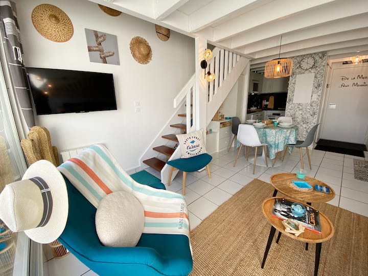 Tadornes2 - Appartement Location Vacances Carnac - Carnac