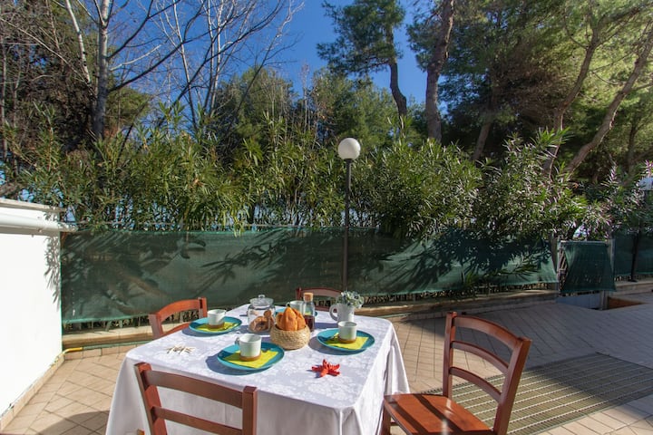 La Pineta Sud - Provincia di Teramo