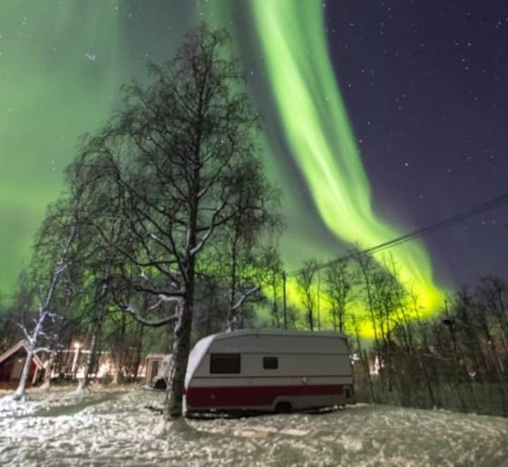 Husky Dreams, Opal Caravan - Kiruna