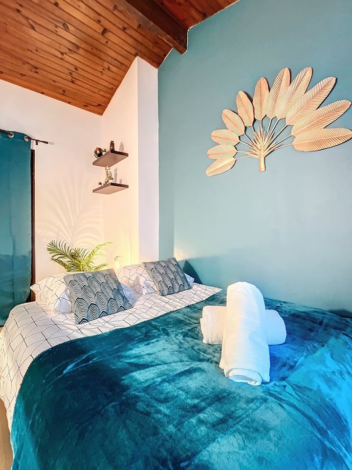 [Solstice] L'emeraude -Balcon -Duplex -Hypercentre - Pamiers