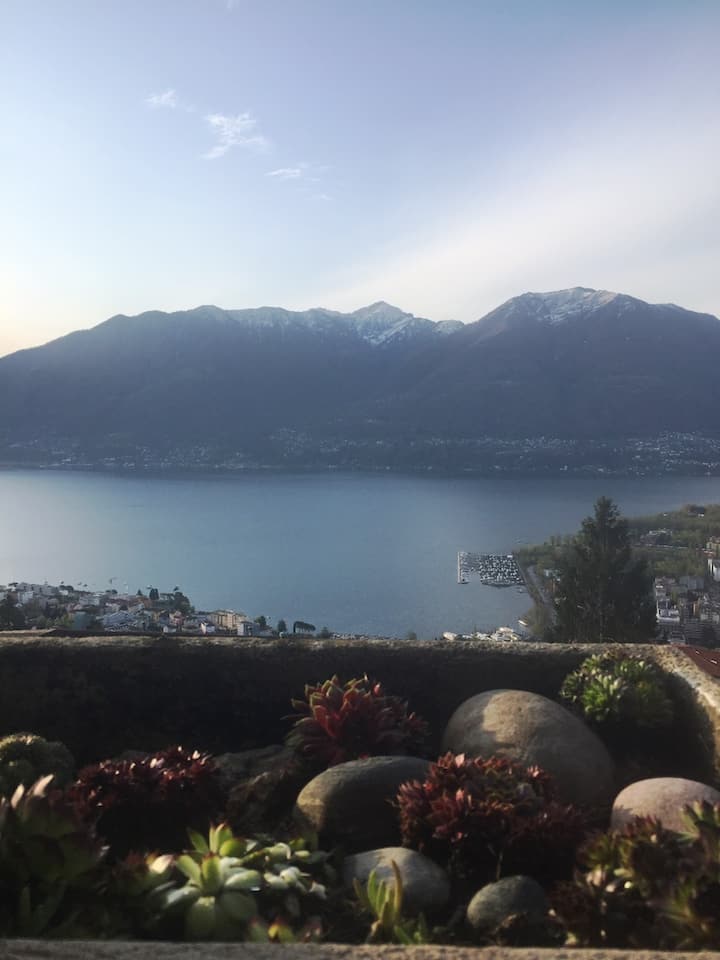 Eckwohnung C11 - Orselina