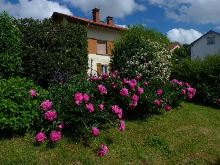 Studios  Nivolet - Gérardmer
