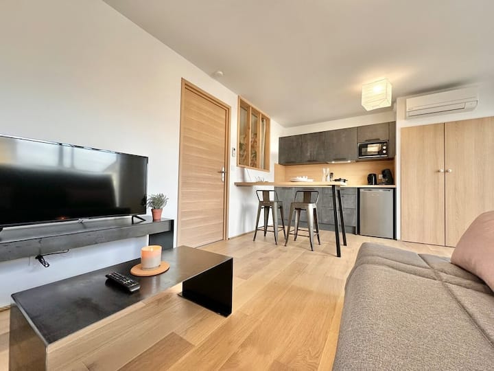 La Roseraie - Hyper Centre - Private Parking - Mont-de-Marsan