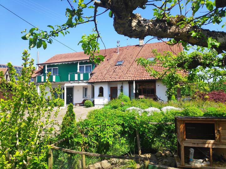 Haus Apfelblüte - No 1 - Langenargen