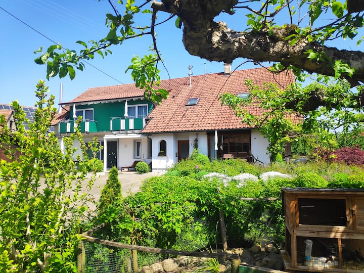 Haus Apfelblüte - No 2 - Langenargen