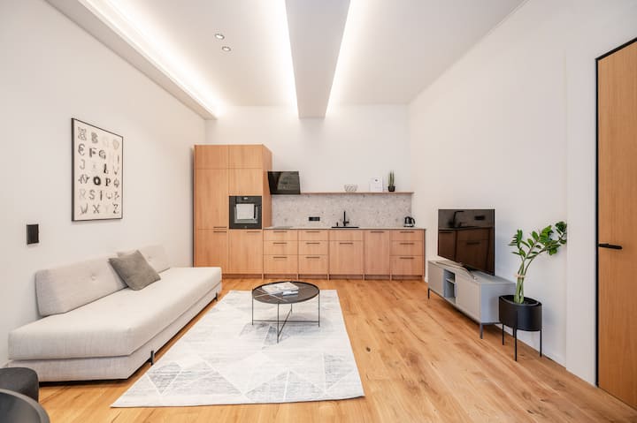 Newly Furnished Vilnius Town Hall Apartment 102 - Vilnius