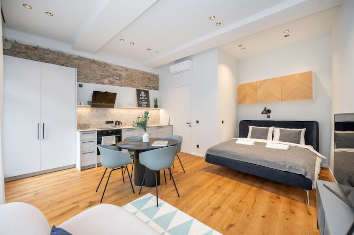 Newly Furnished Vilnius Town Hall Apartment 103 - Vilna