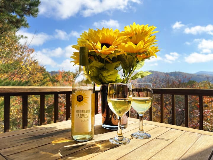 Magical Mountain Views From Cheyenne Ridge Lodge - Blue Ridge, GA