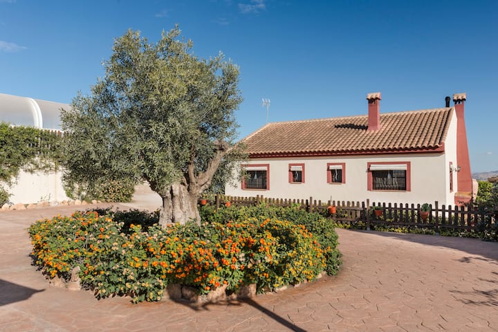 La Tinaja - Puerto de Mazarrón