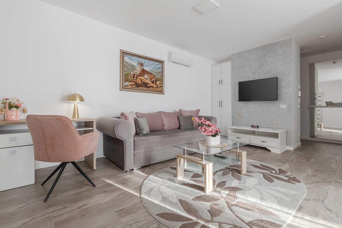 A Rosy Affair - Apartments for Rent in Oradea, Județul Bihor, Romania ...