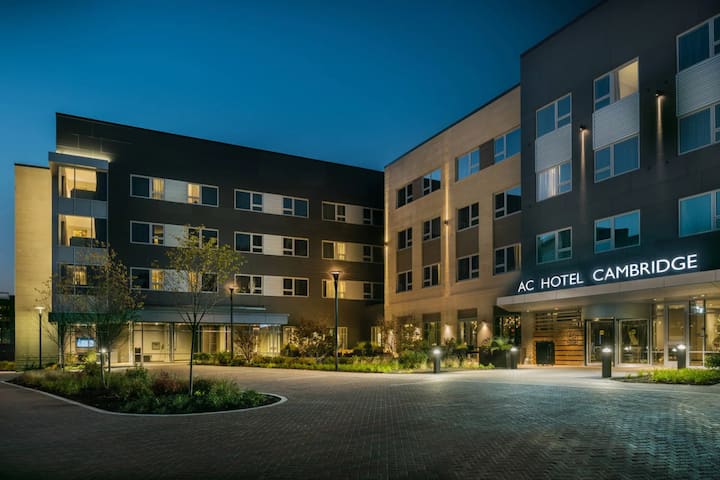 Close To Harvard University + Pool. Lounge. Gym. - Cambridge, MA
