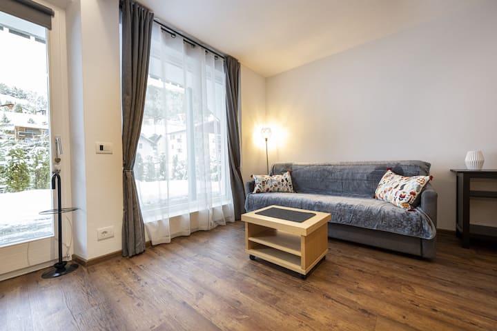 Apartments No.7 Saslong 1003a - Val Gardena