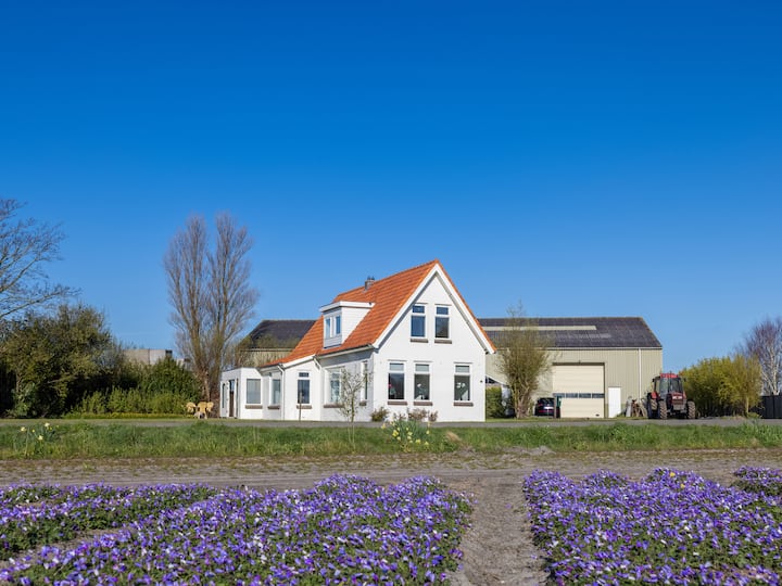 Maison Avec Vue Sur Les Champs De Tulipes - Texel