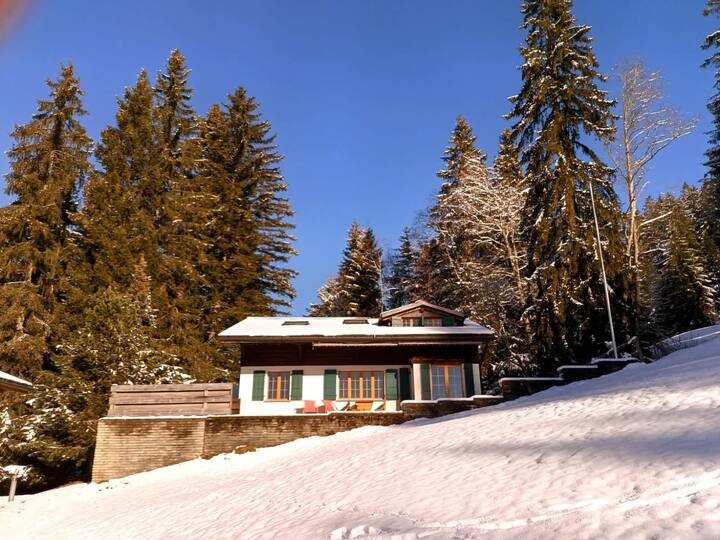 Ski-in Chalet In Top Location - Zweisimmen
