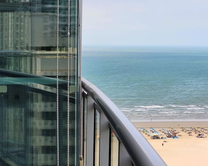 Book Santos Unlimited 1216 - Side View Of The Sea - Santos