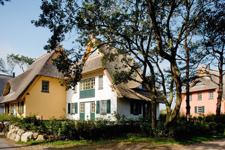 Dünenmeer Ferienhäuser (126973) - Dierhagen