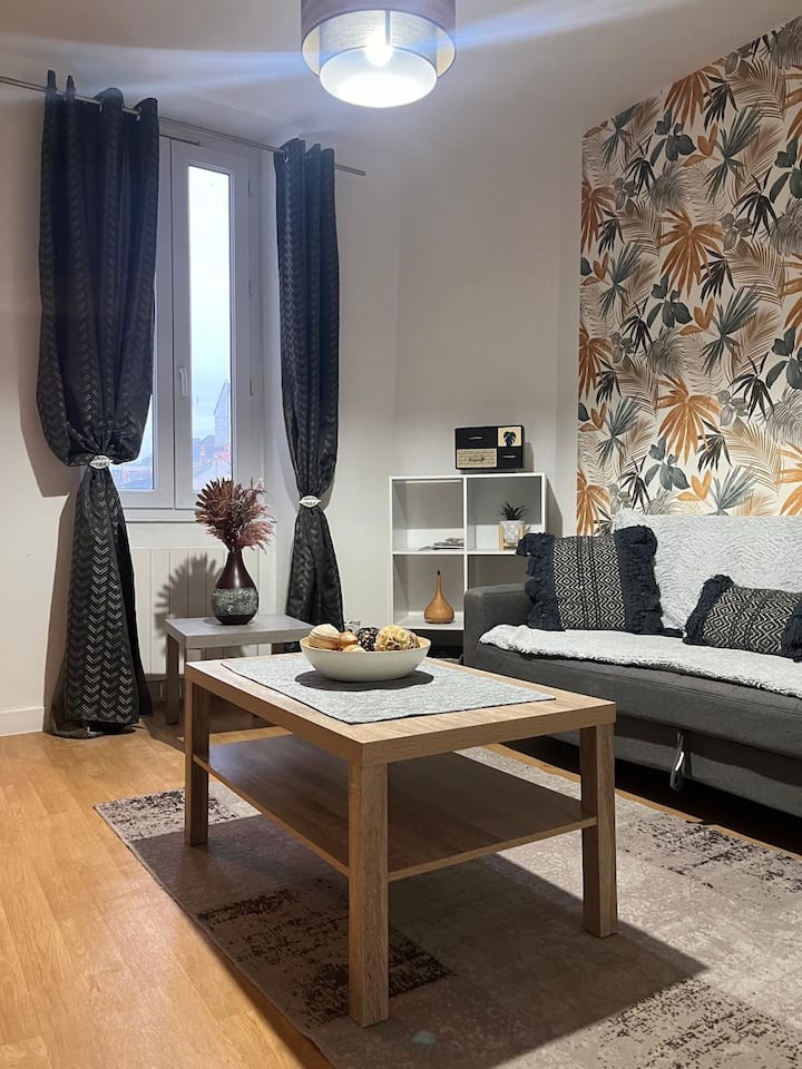 Appartement 2/3 Personnes - Quartier Ney Angers - Trélazé