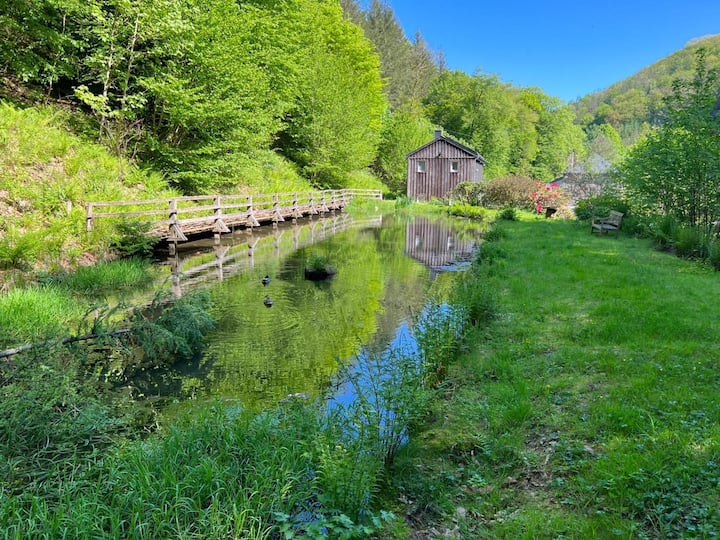 Charmant Domaine Tranquille Et Authentique à Bohan - Vresse-sur-Semois