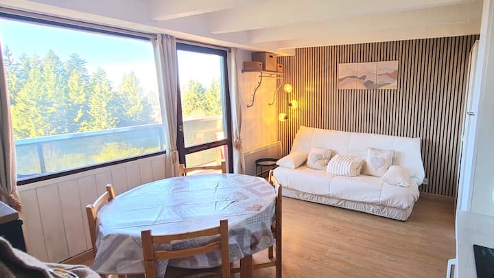Appartement Lumineux 5 Pers, Balcon, Proche Des Pi - Chamrousse