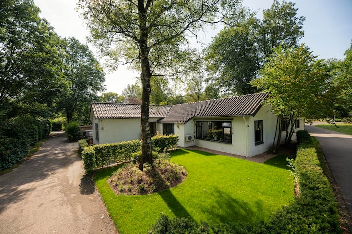 Group Villa | 12 People - Zutphen