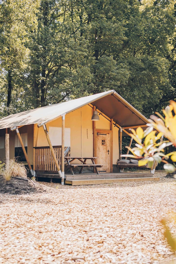 Safari Tent | 6 Persons - Apeldoorn