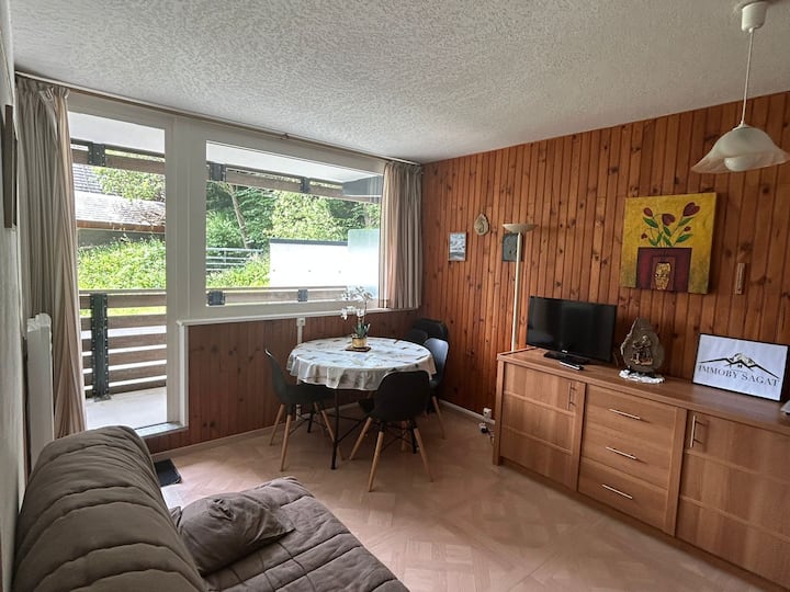 Appartement Besse-et-saint-anastaise-super Besse, - Super Besse