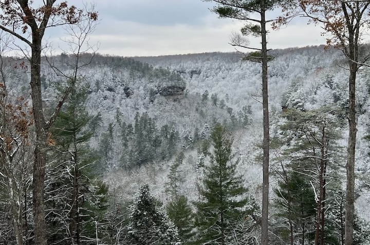Date Night Cabin - Romantic, Sauna, Views, Hot Tub - Slade, KY