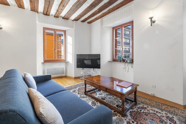 Appartement éLégant Dans Le Château Des Vidomnes - Sierre