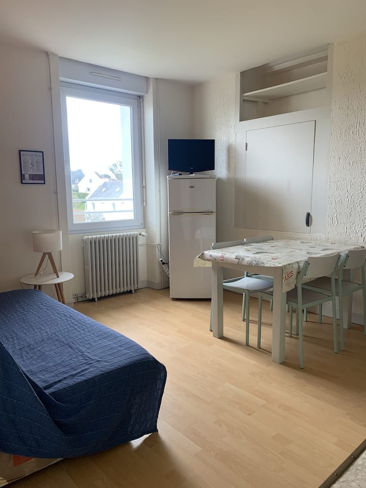 Appartement En Bord De Mer à Carantec - Carantec
