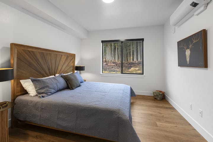 Pet Friendly, Juneau Jewel, Luxury & Relax 307 - Juneau, AK